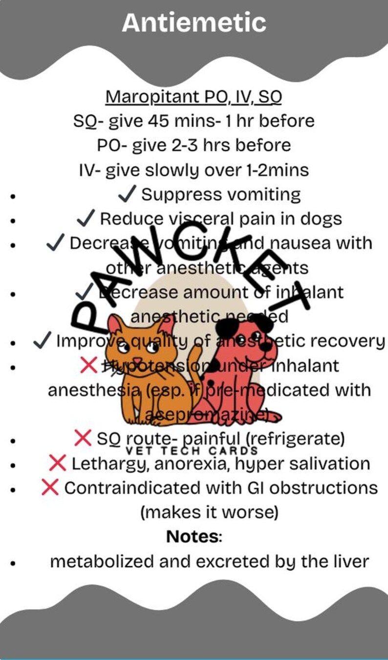 Vet Tech Study/ Flash Cards- Digital Template - Etsy