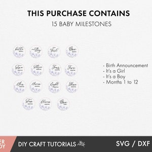 Wooden Milestone Disc Svg, Floral Baby Milestone SVG, Milestone Discs ...