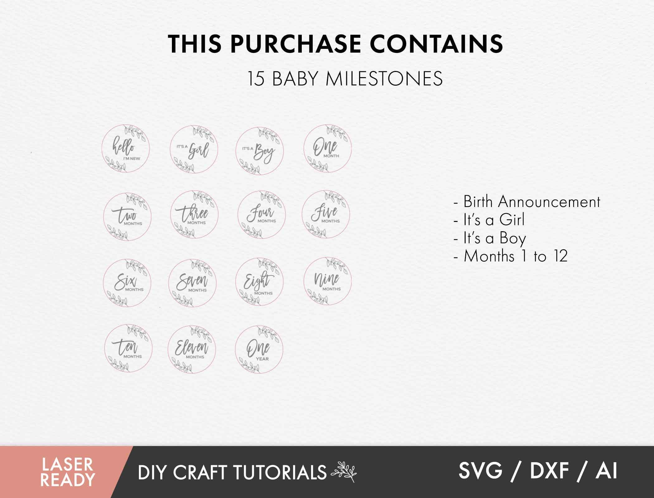 Floral Baby Milestone SVG, Wooden Milestone Disc Svg, Milestone Discs ...