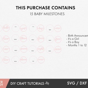 Layered Wooden Milestone Disc Svg, Baby Milestone SVG, Milestone Discs ...