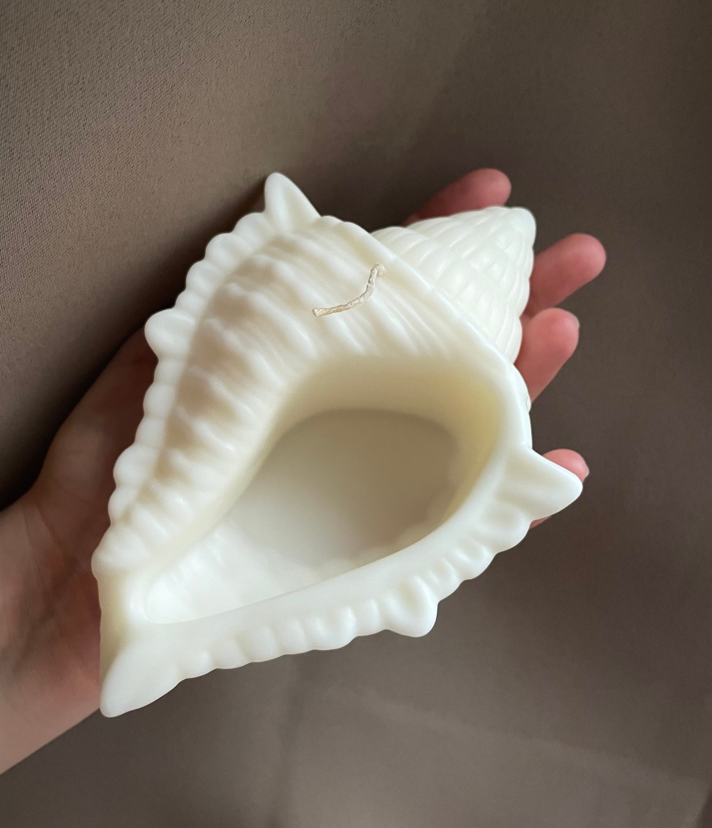 Seashell Conch Candle - Etsy