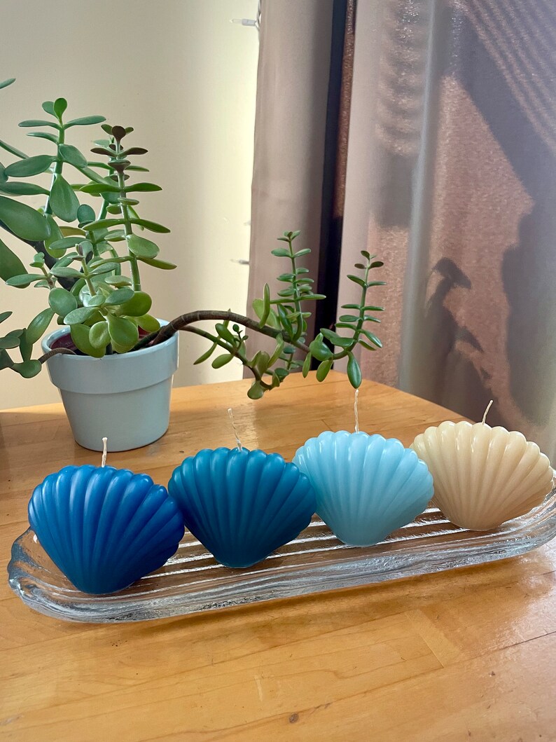 Seashell Conch Candle - Etsy