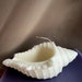Seashell Conch Candle - Etsy