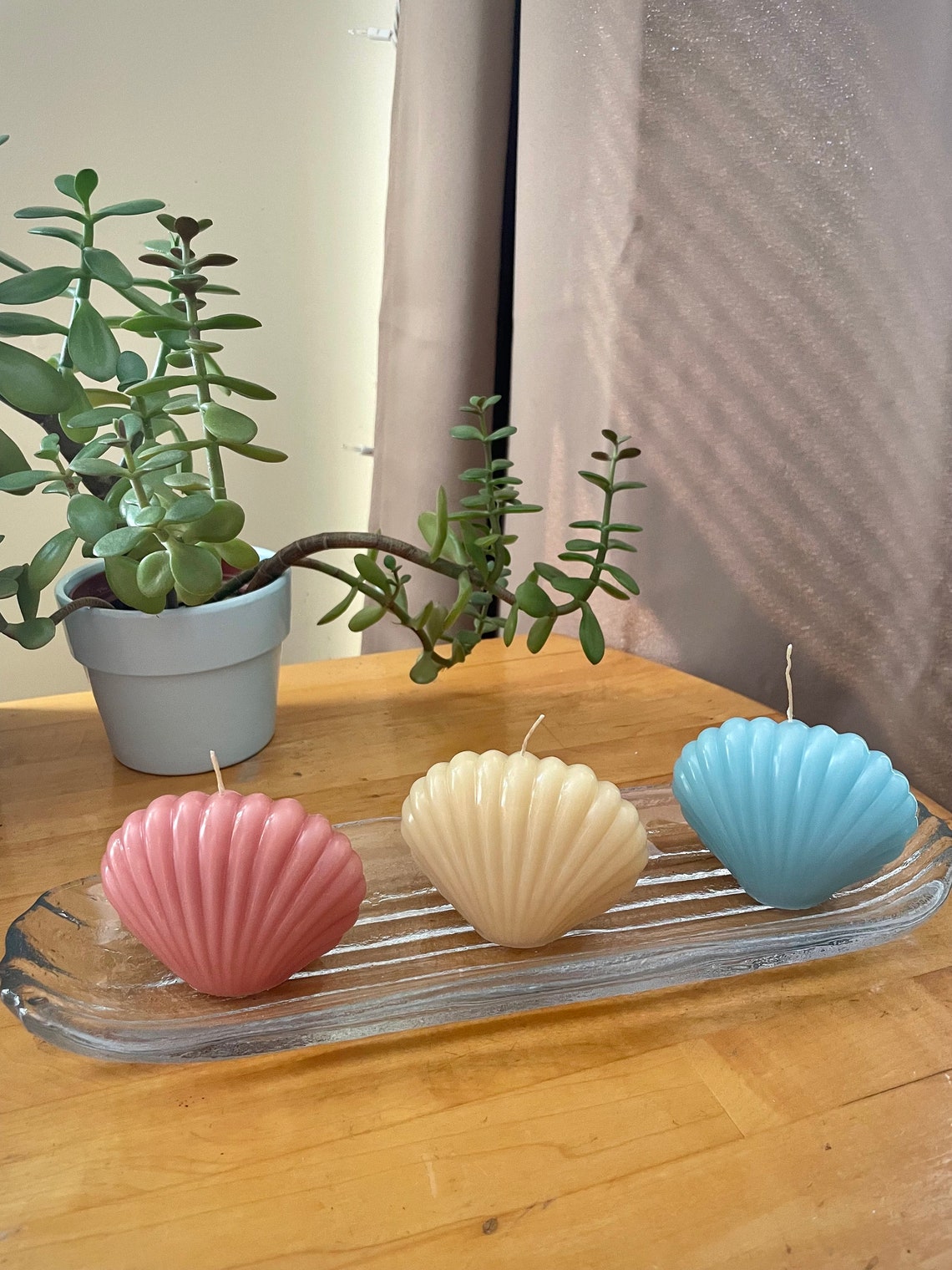 Seashell Conch Candle - Etsy