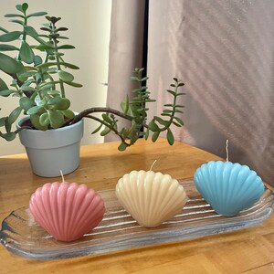 Seashell Conch Candle - Etsy