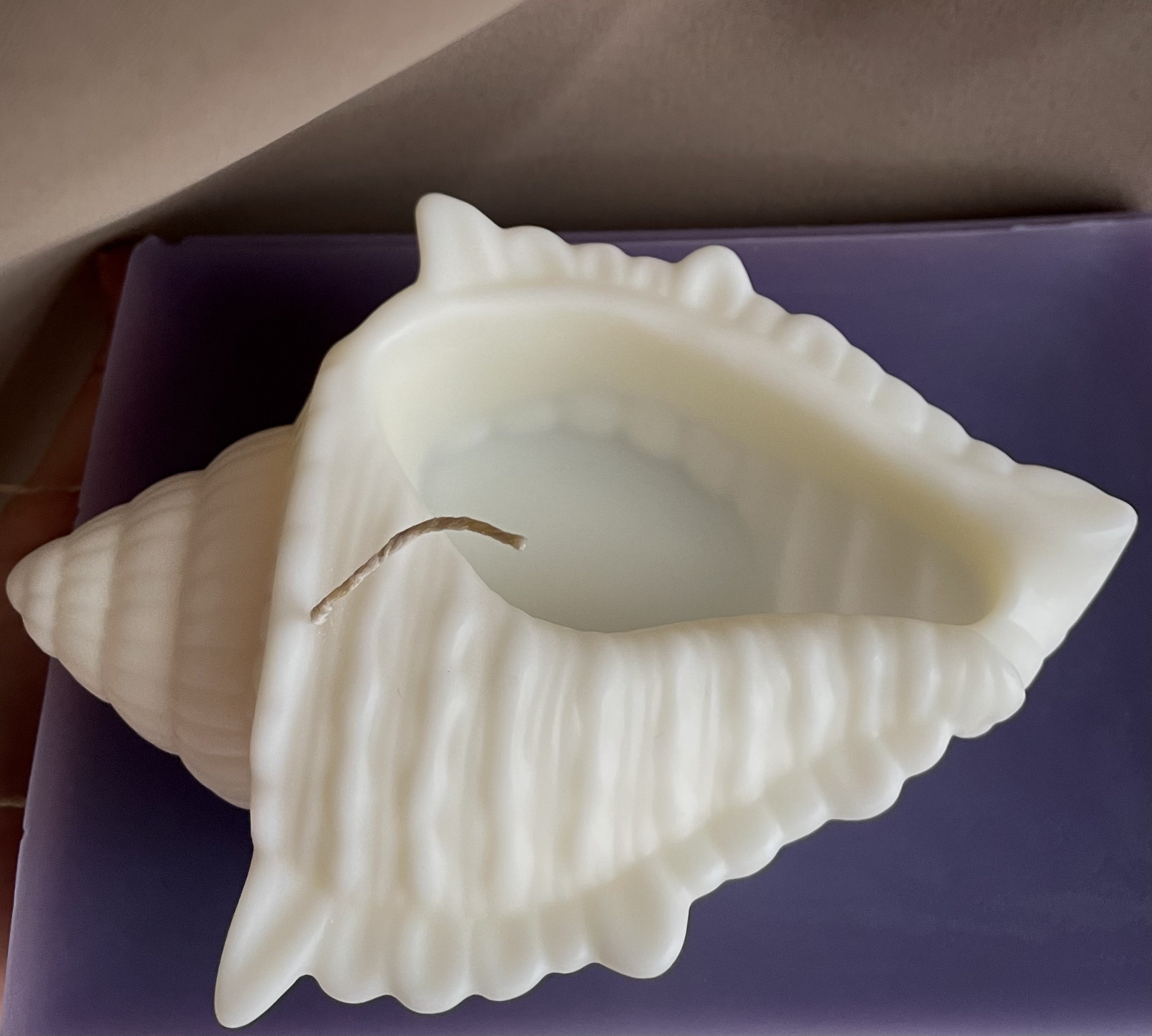 Seashell Conch Candle - Etsy