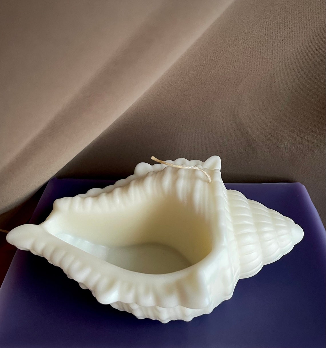 Seashell Conch Candle - Etsy