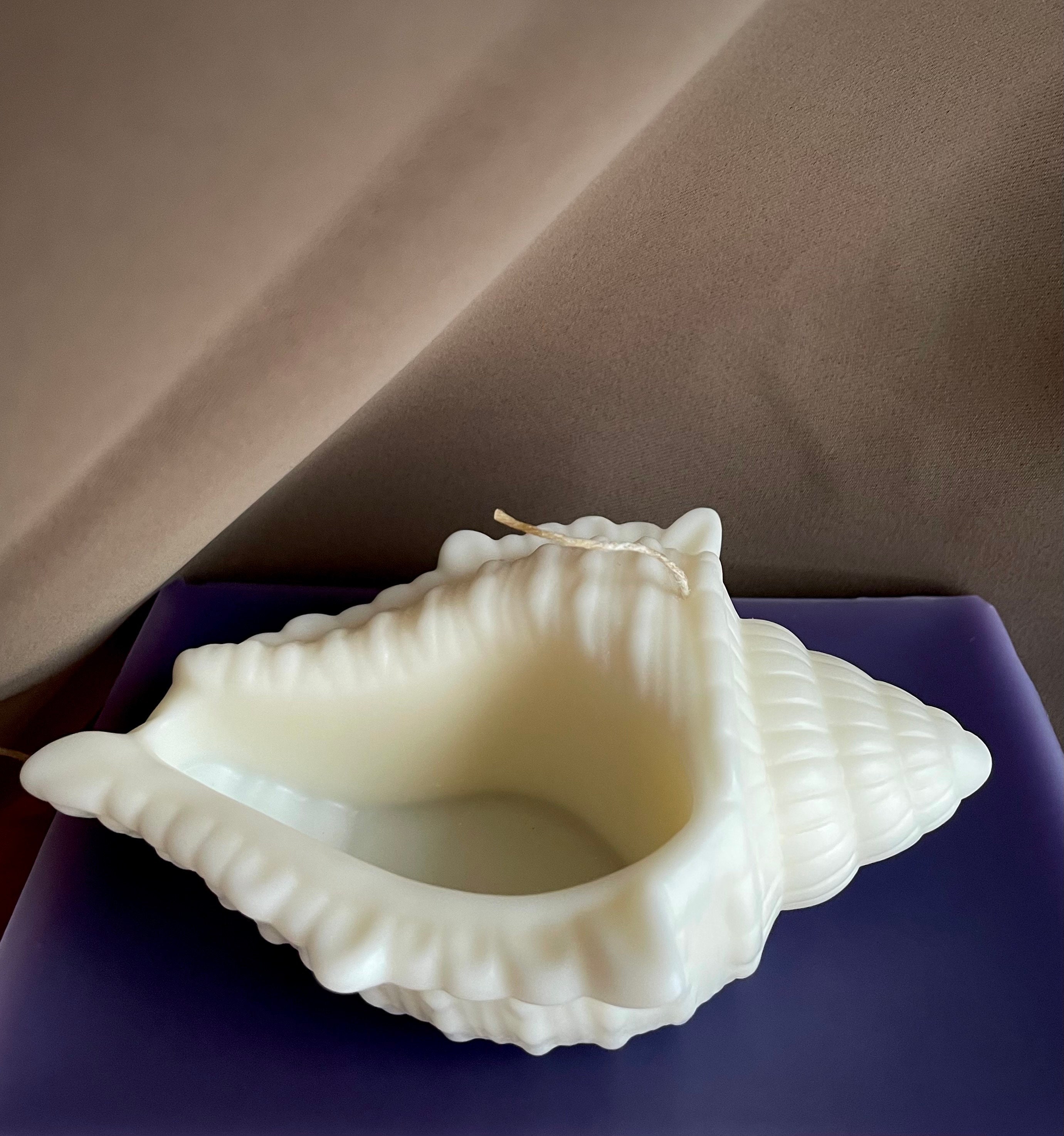 Seashell Conch Candle - Etsy
