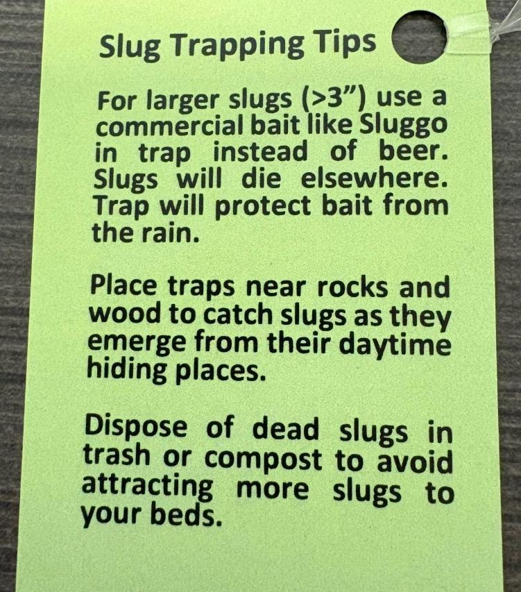 Fat Frog Garden Slug Trap to Protect Flowers and Veggies. Great Gift ...