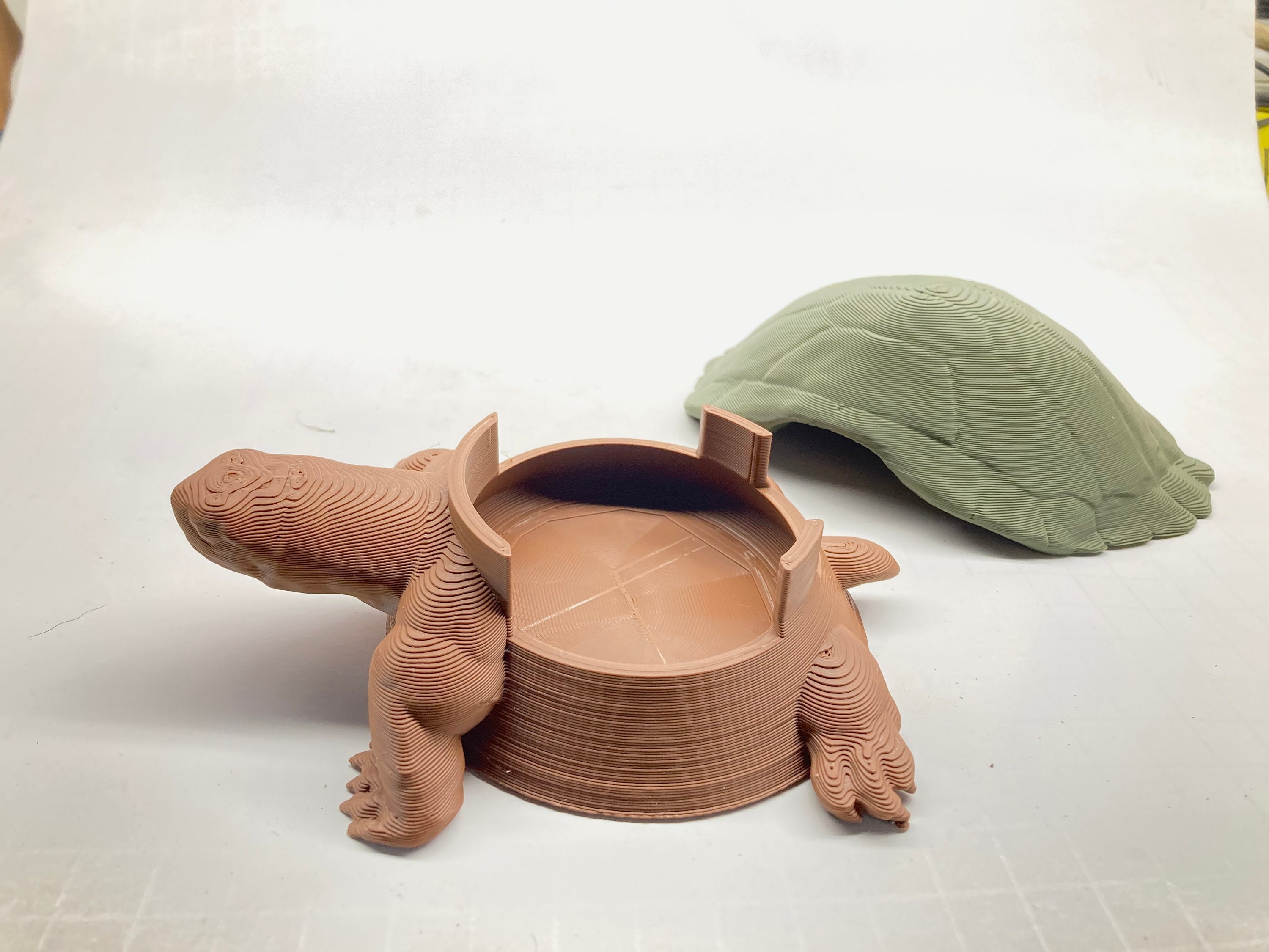 Turtle-style Garden Slug Trap. Ornamental Protection for the - Etsy