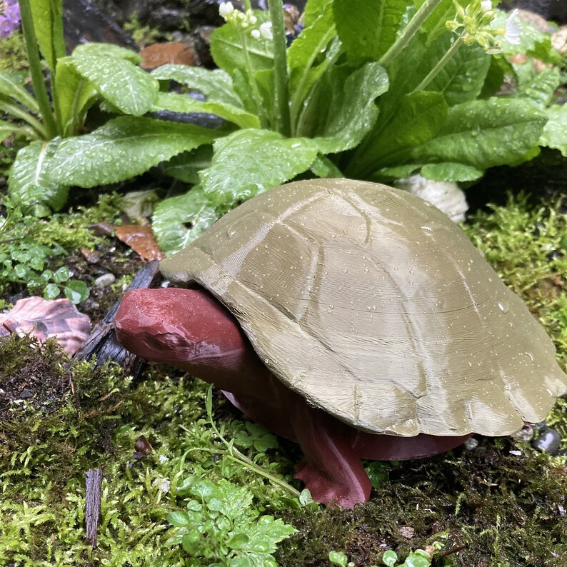 Turtle-style Garden Slug Trap. Ornamental Protection for the Gardener ...