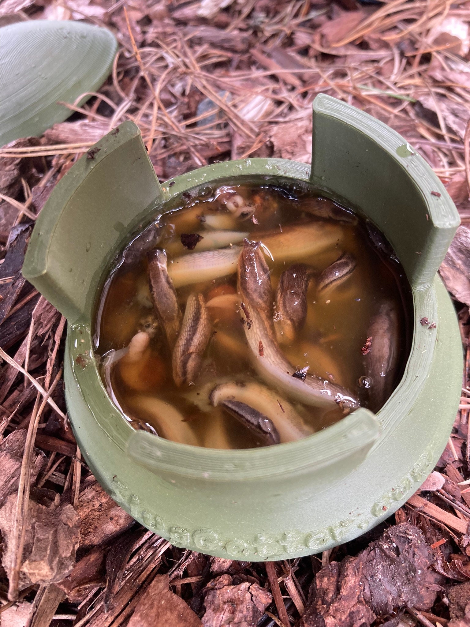 Dome-style Garden Slug Trap. Decorative Trap to Protect Flowers and ...