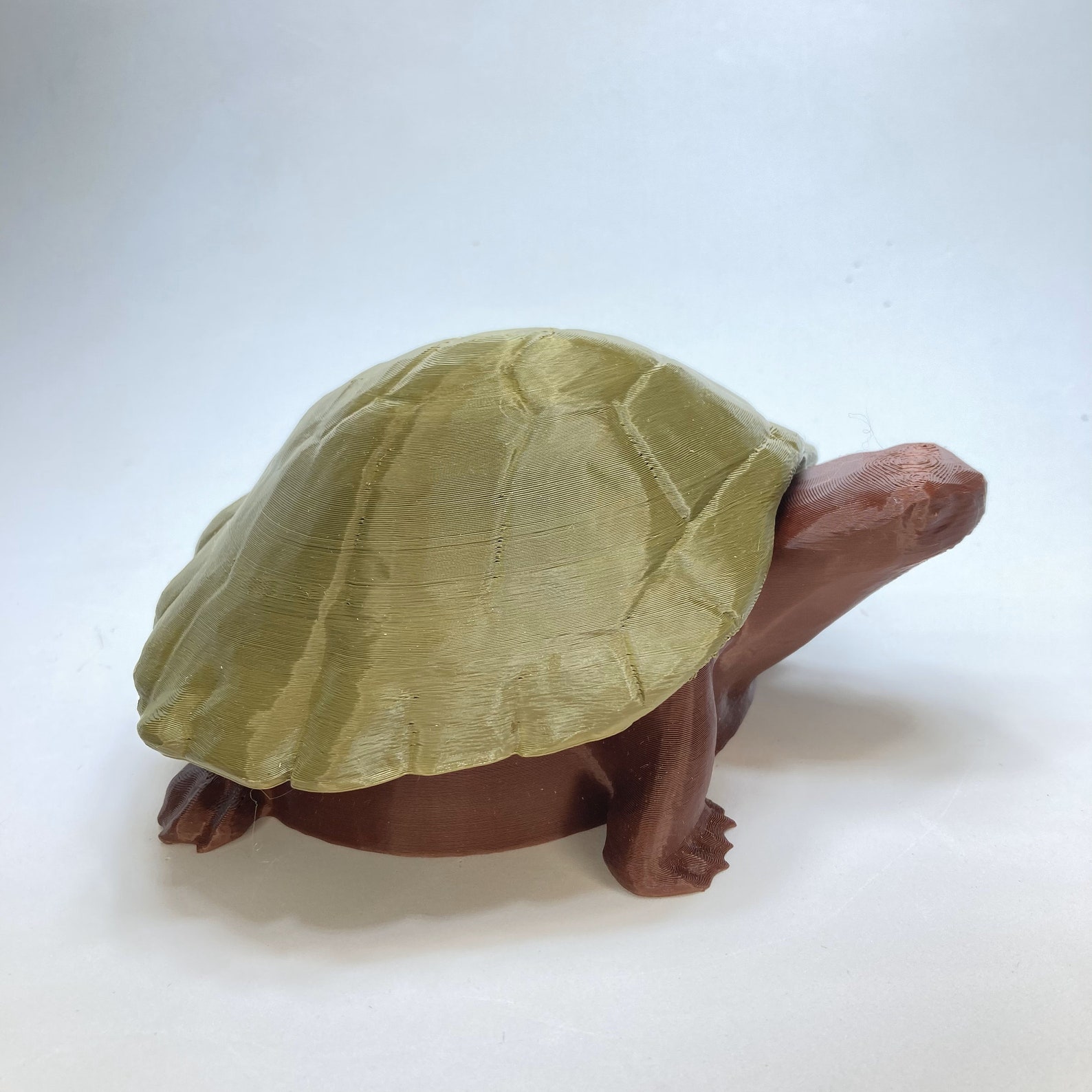 Turtle-style Garden Slug Trap. Ornamental Protection for the Gardener ...