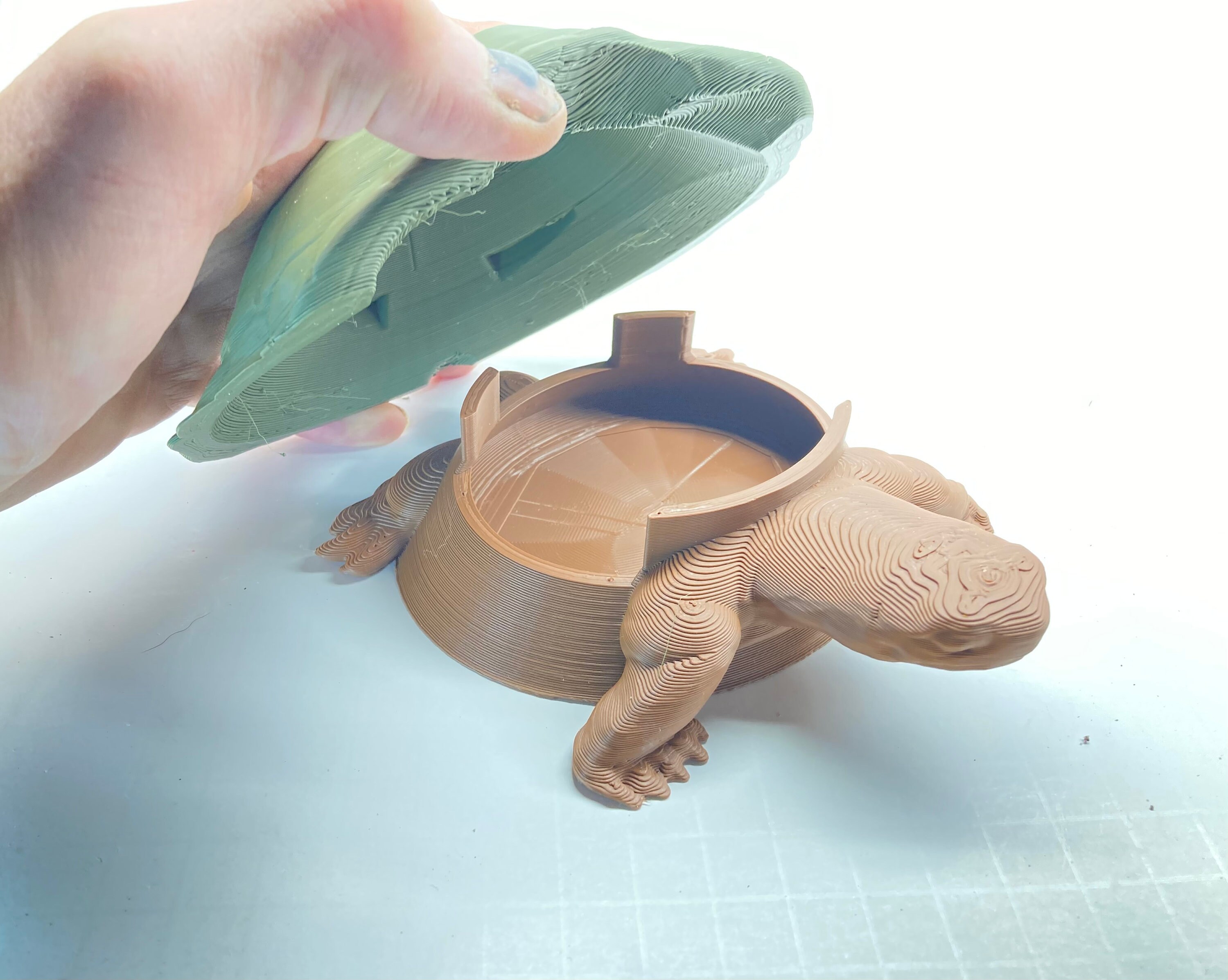 Turtle-style Garden Slug Trap. Ornamental Protection for the - Etsy