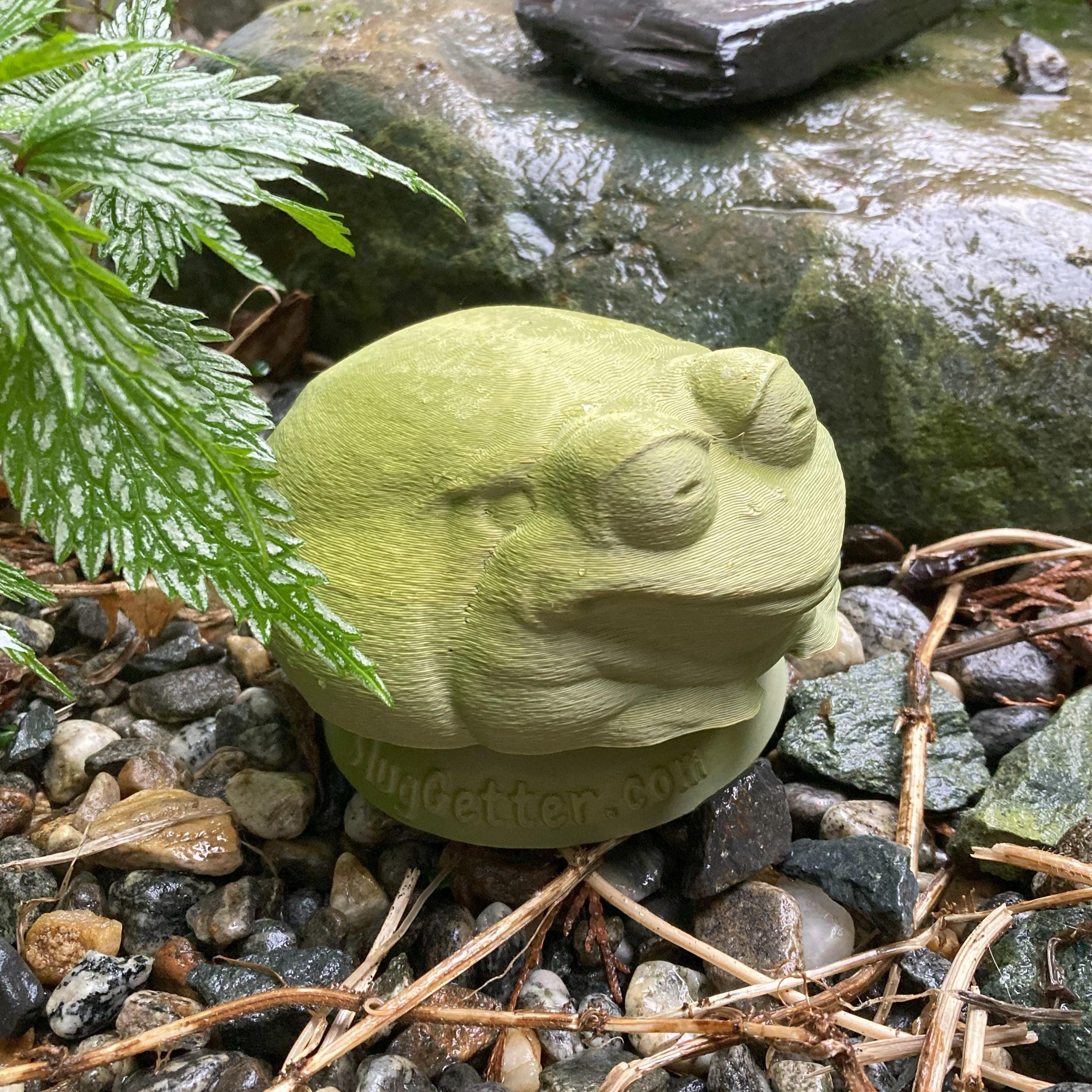 Fat Frog Garden Slug Trap Protect Your Flowers and Veggies With This ...