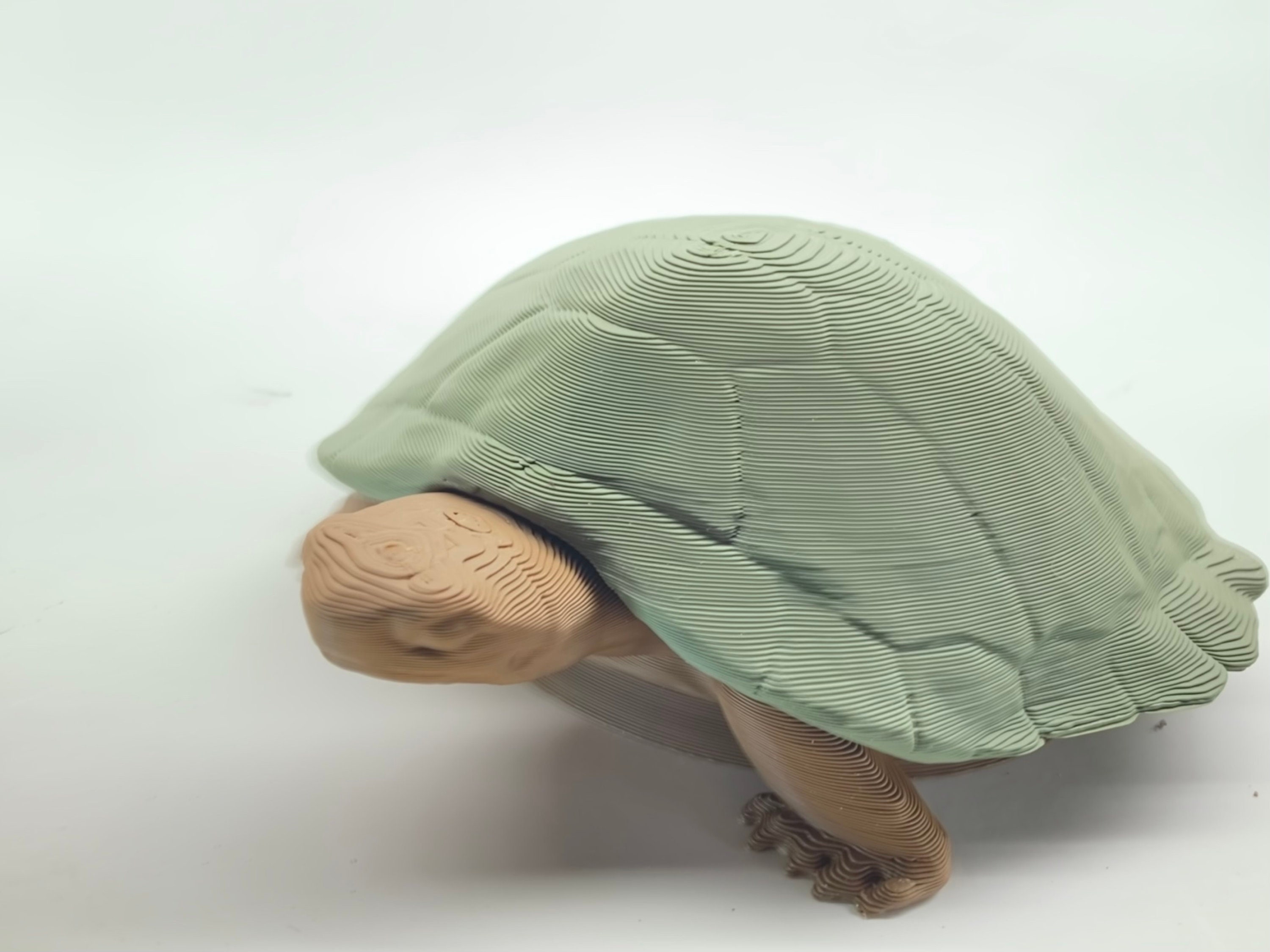 Turtle-style Garden Slug Trap. Ornamental Protection for the - Etsy