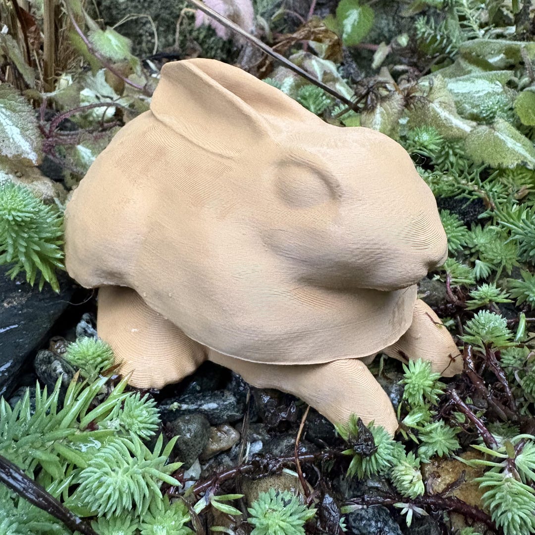 Bunny-style Slug Trap to Protect Your Garden From Destructive Slugs and ...