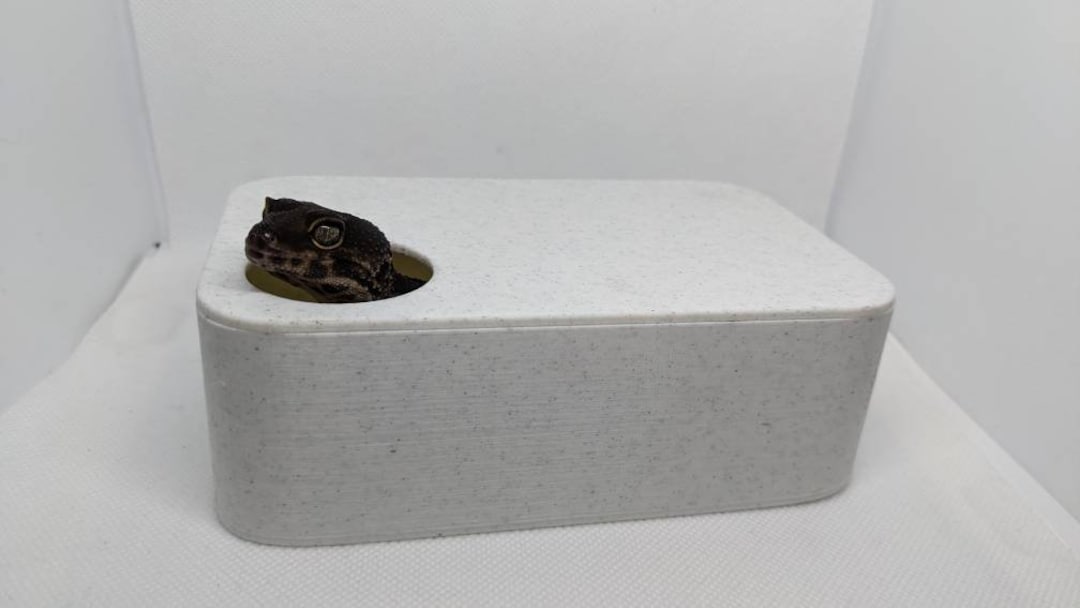 Humid Hide for Small Reptiles - Etsy