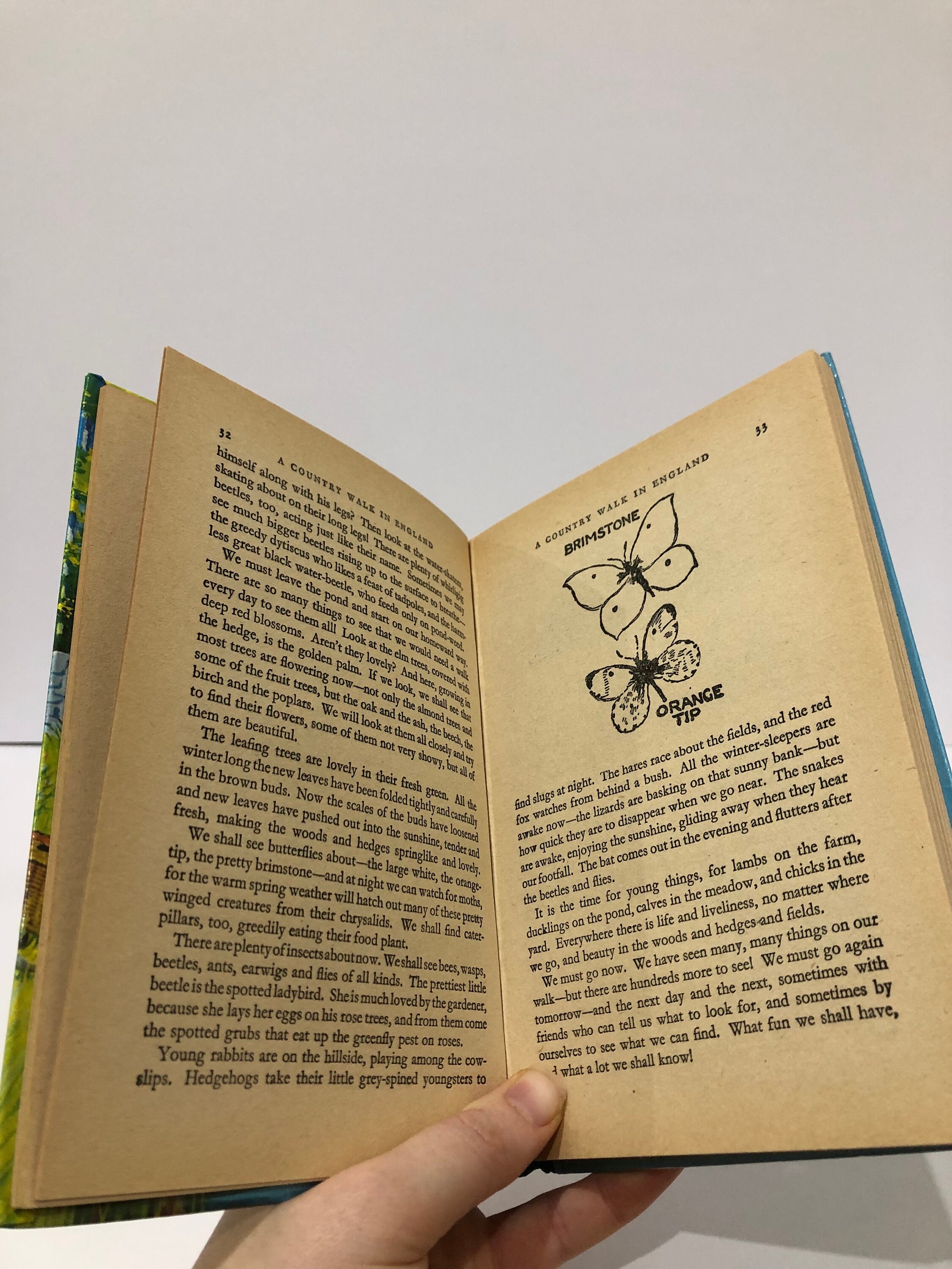 Vintage 1965 Classic “sunshine Book” by Enid Blyton - Hardcover in ...