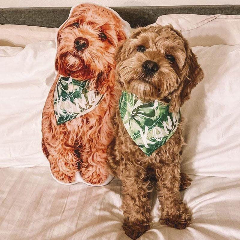 Personalized Dog Pillow - Custom Shaped Pet Pillow - Unique Gift for ...