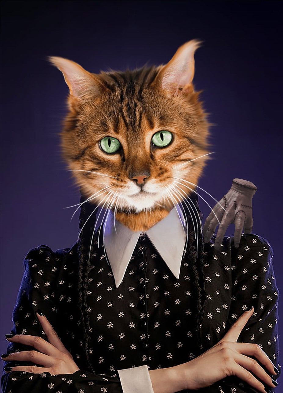 Wednesday Addams, Custom Wednesday Pet Portrait, Pet Portraits, Funny ...