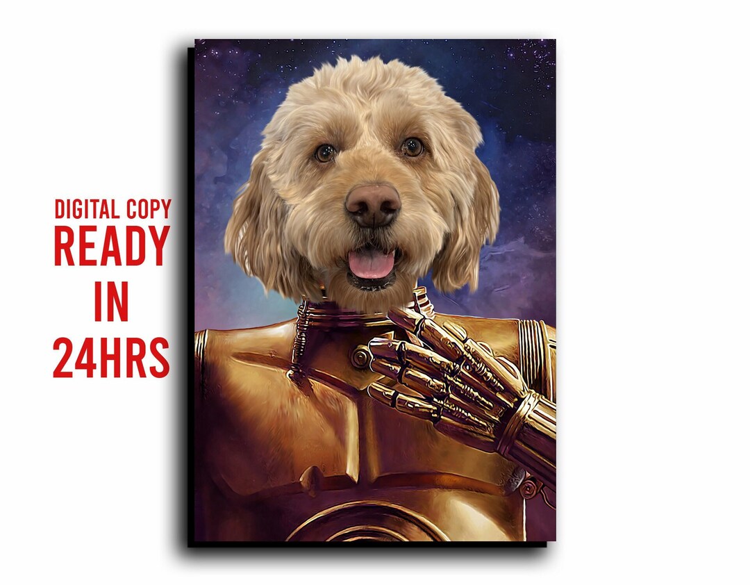 Droids, Star W, Custom Droids, Custom Pet Love Gift Ideas, Custom Pet ...