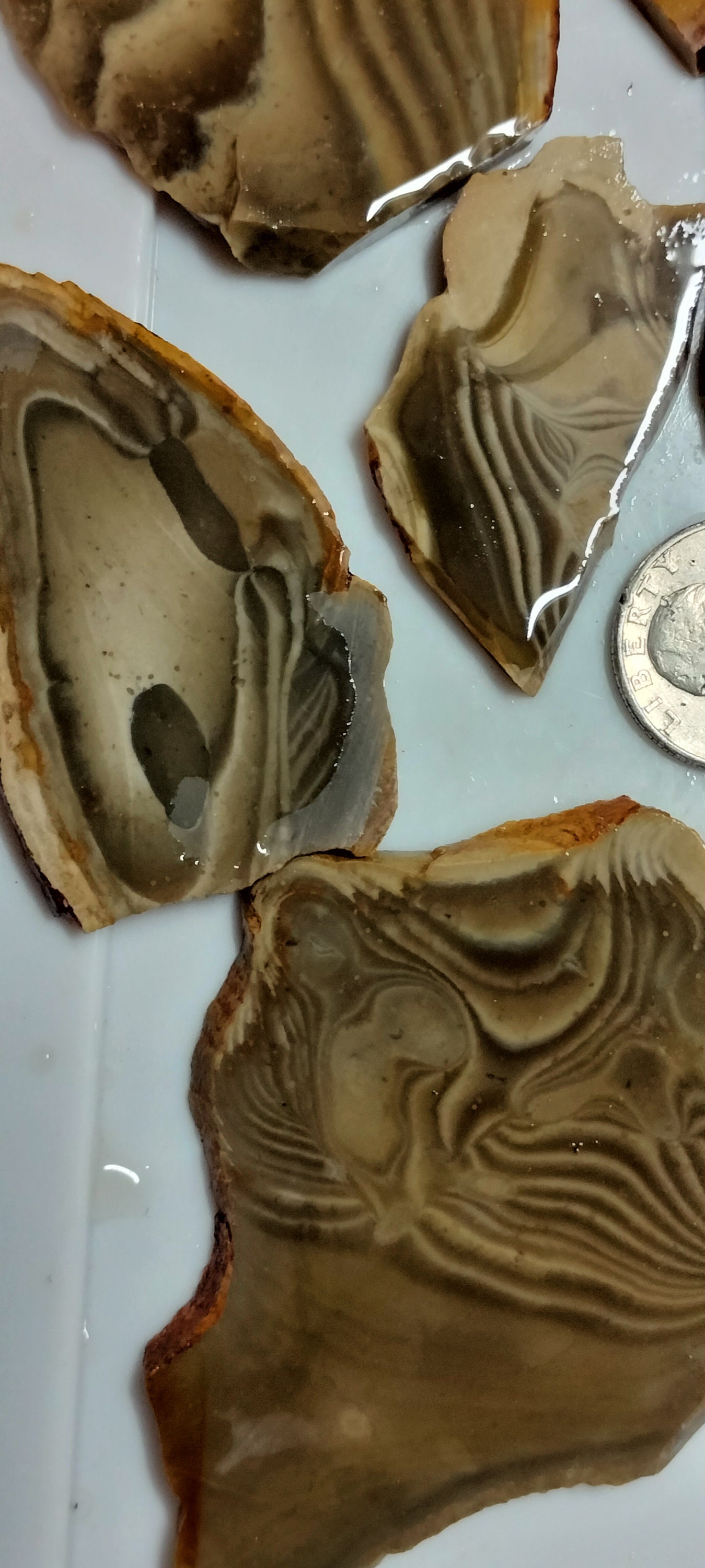 Polish Flint Mini Slabs - Etsy