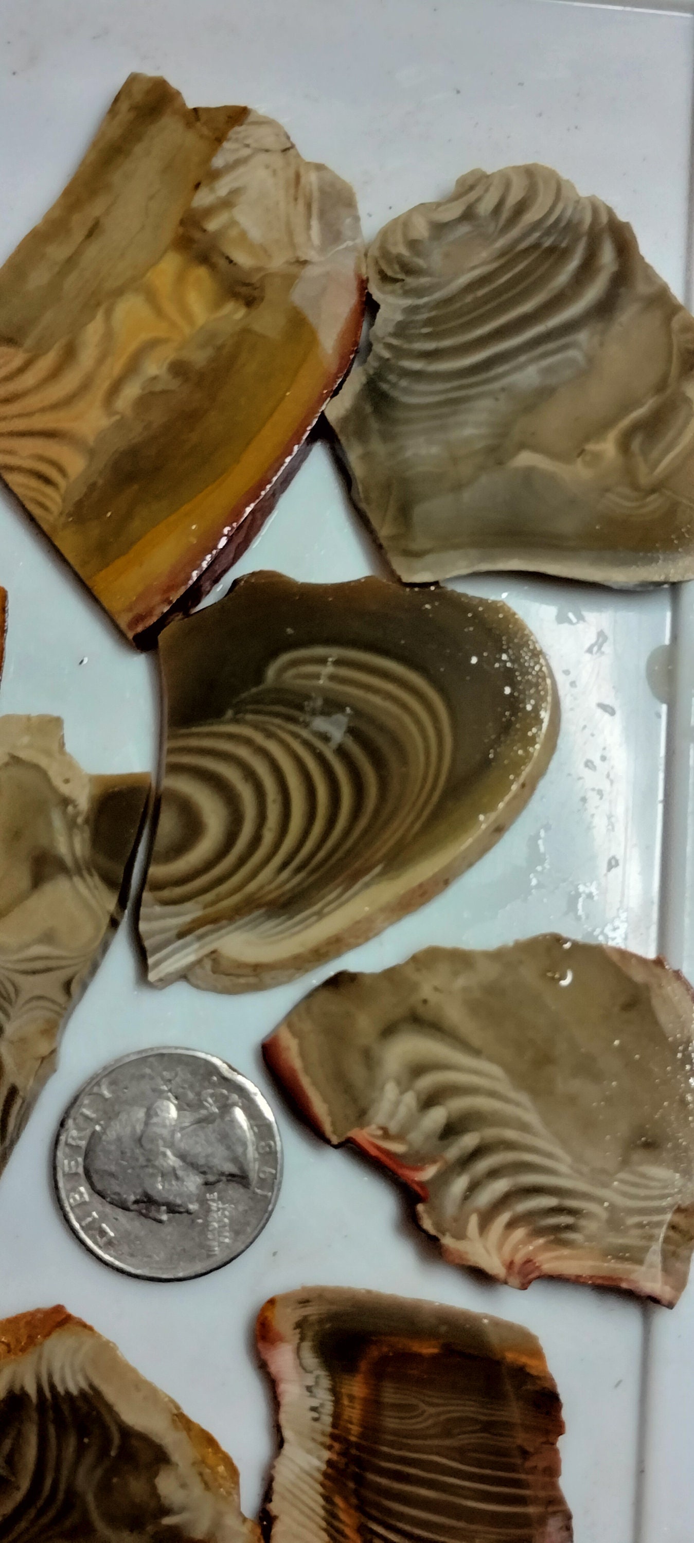 Polish Flint Mini Slabs - Etsy