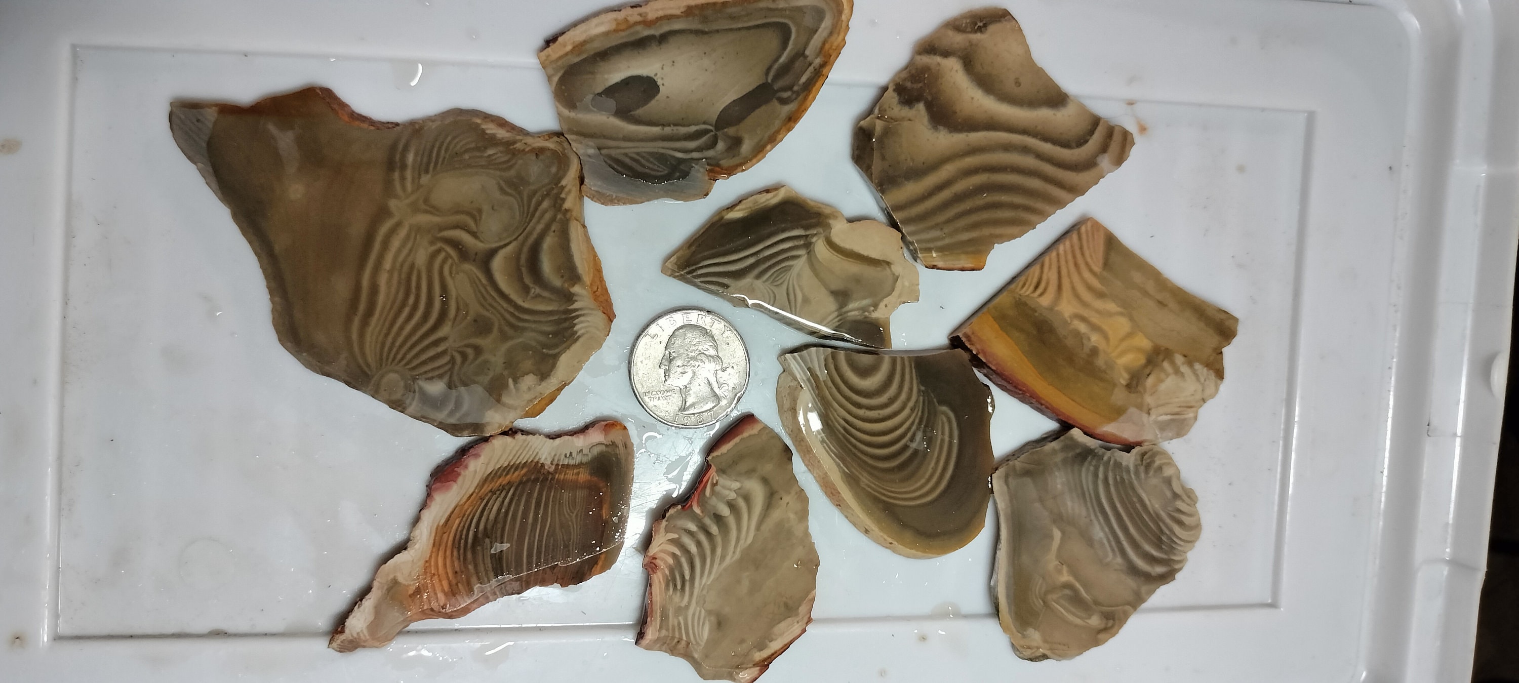 Polish Flint Mini Slabs - Etsy