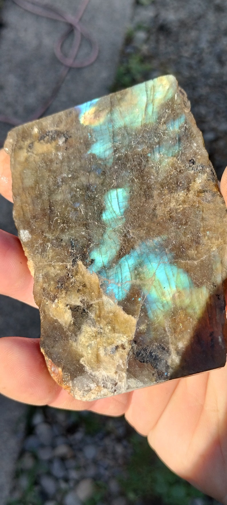 Beautiful Labradorite Slab Lots of Color - Etsy