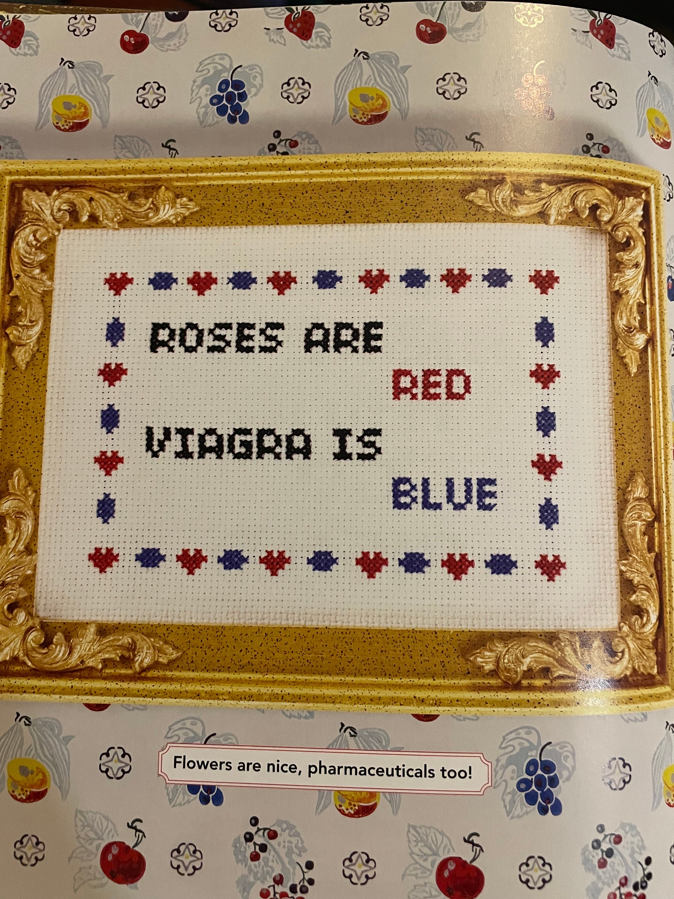 Complete Cross-stitch | Finished Needlework | Sarcastic, Funny Phrases ...