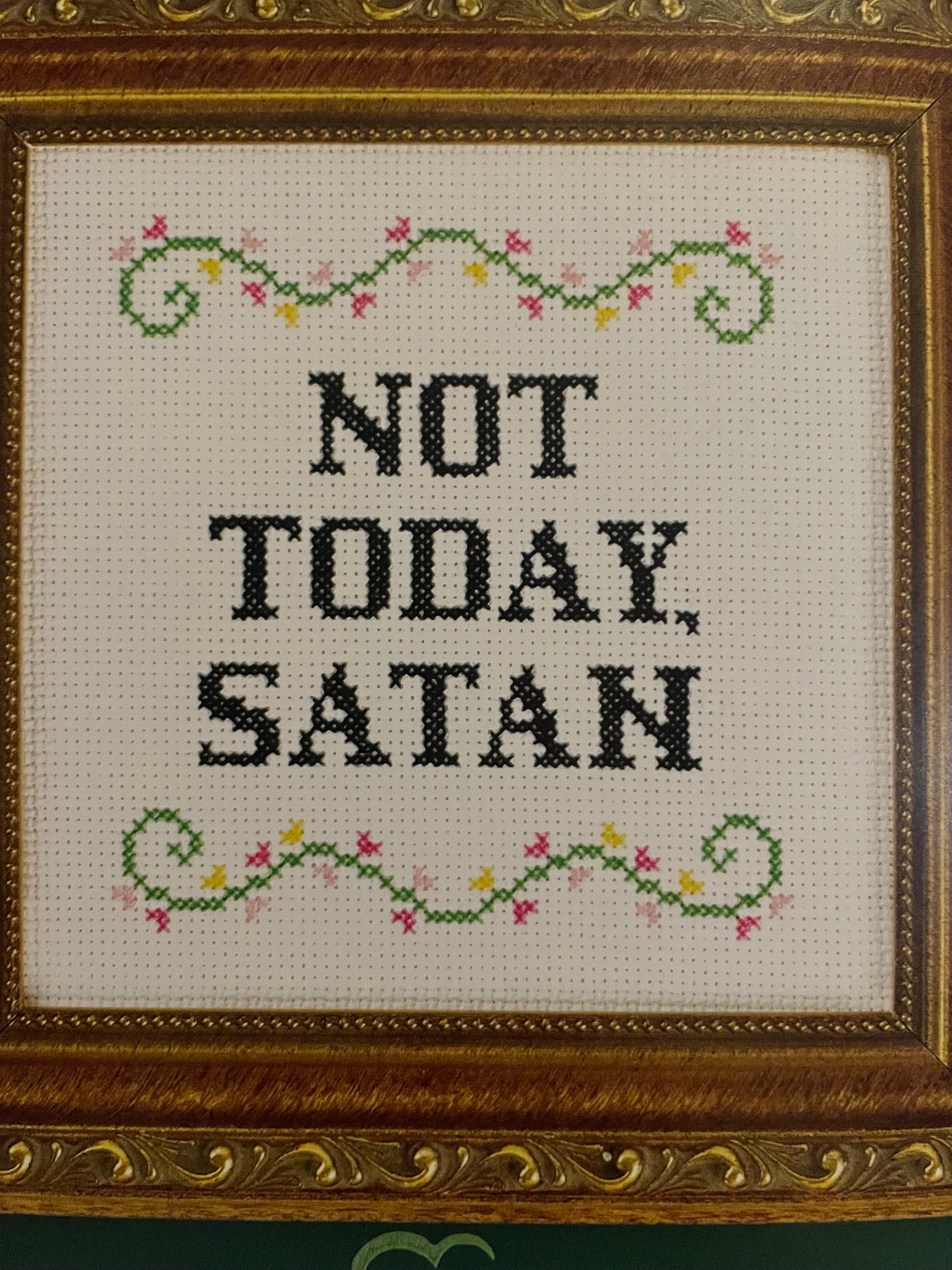 Complete Cross-stitch | Finished Needlework | Sarcastic, Funny Phrases ...