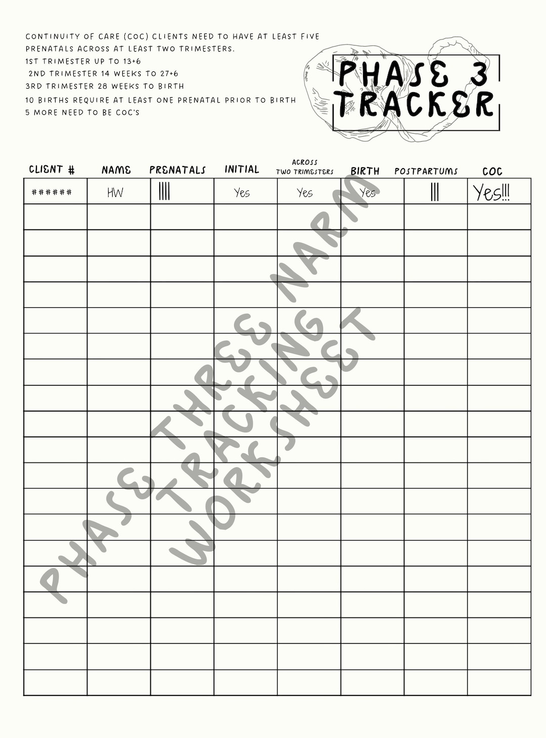 Phase Three NARM Chart Student Midwife - Etsy