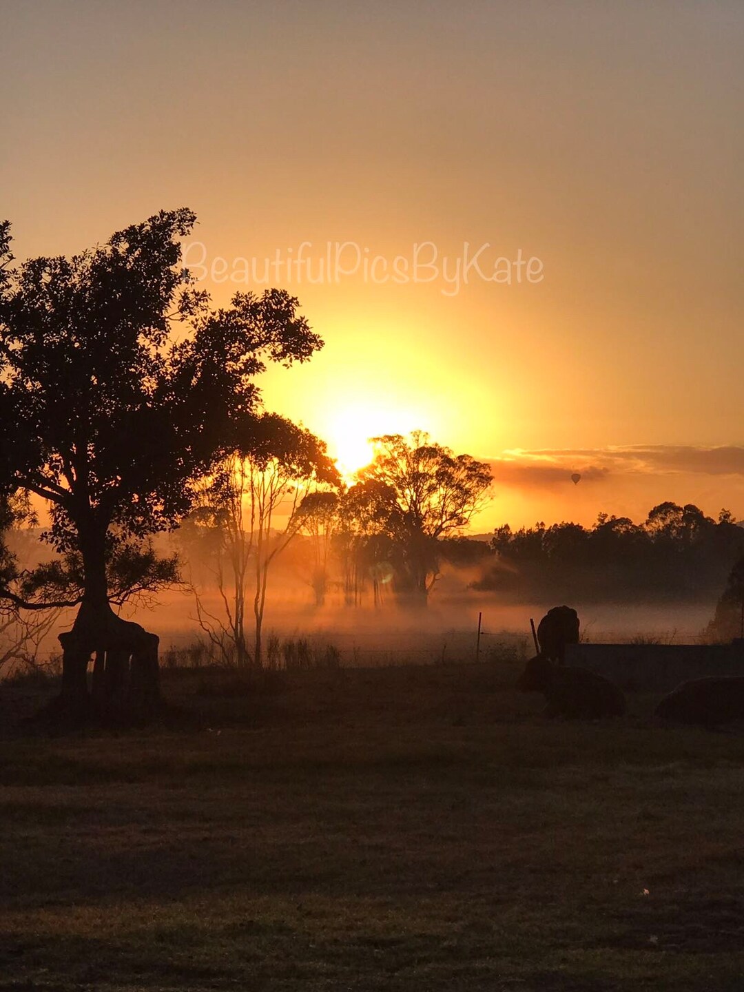 Sunrise Australian Native Landscape Photography Single Use - Etsy