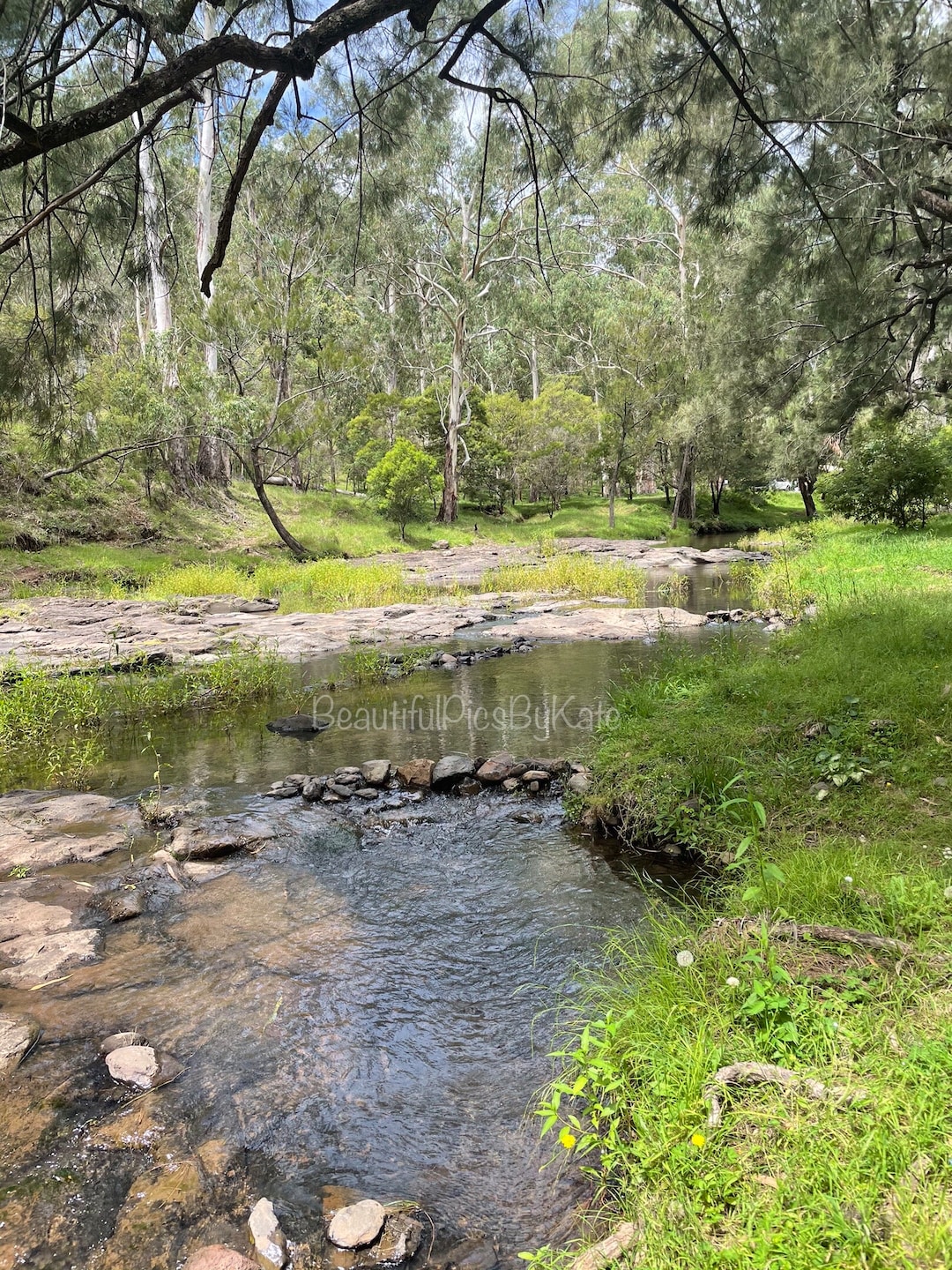 Creek in the Bush Australian Native Landscape Photography - Etsy