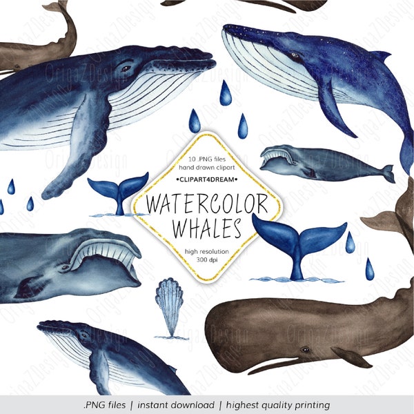 Whales Clip Art - Etsy
