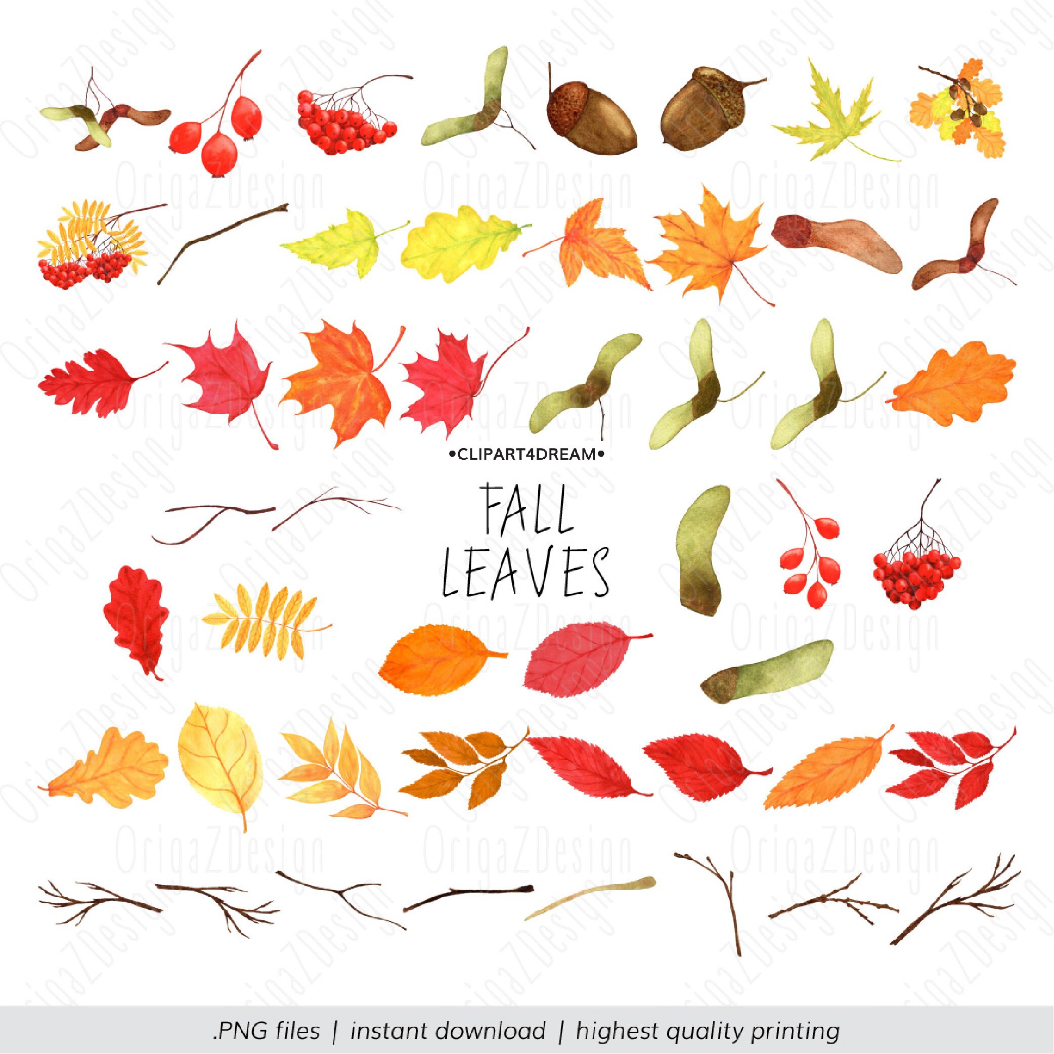 Cozy Autumn Leaves Clipart Fall Seasonal Watercolor Branches Red Berry ...