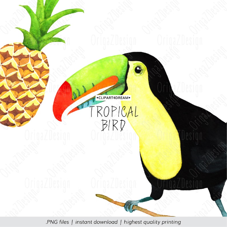 Tropical Bird Clipart, Watercolor Hawaii Flowers Toucan Flamingo ...