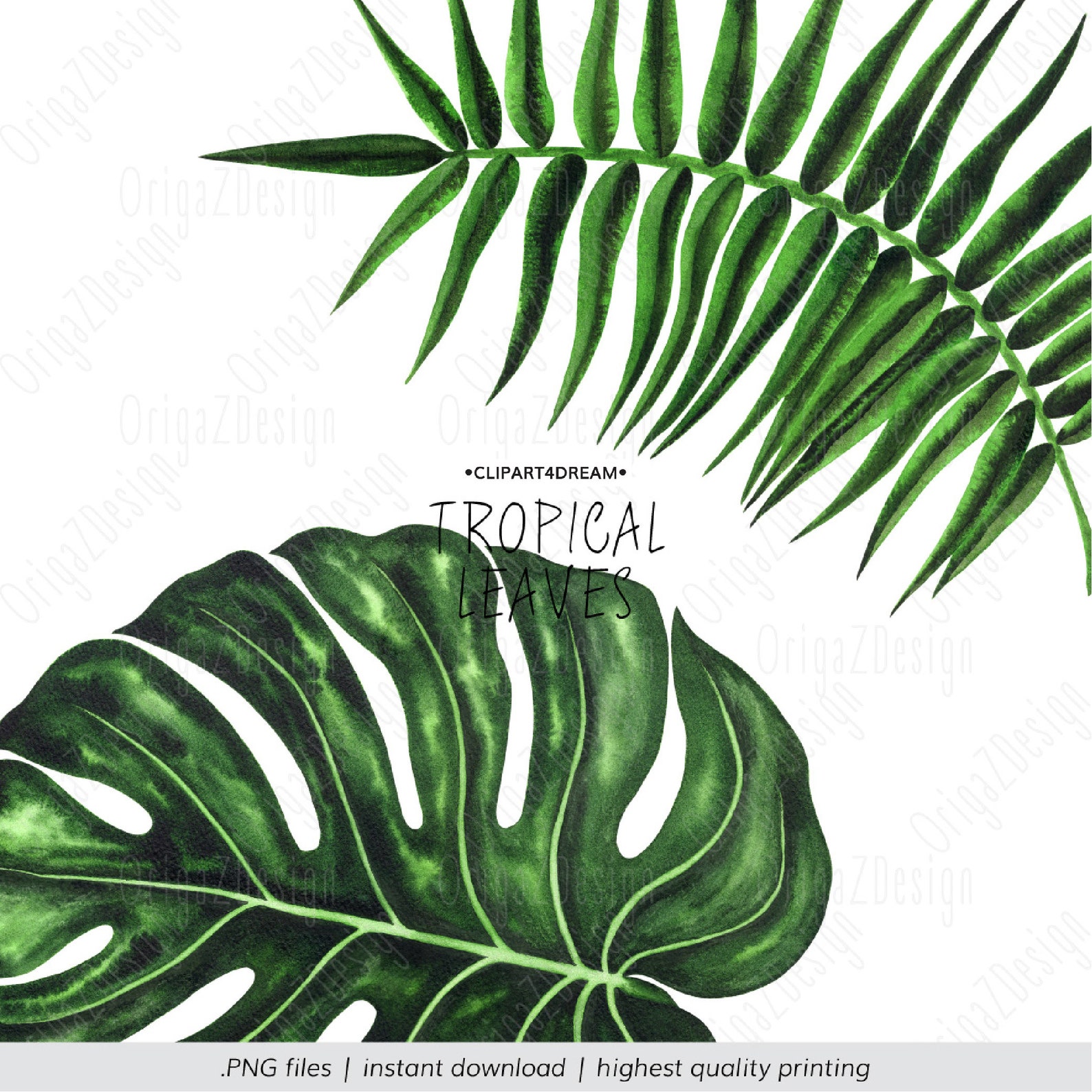 Tropical Leaf Clipart, Tropical Leaves Clipart Monstera Palm Leaf ...