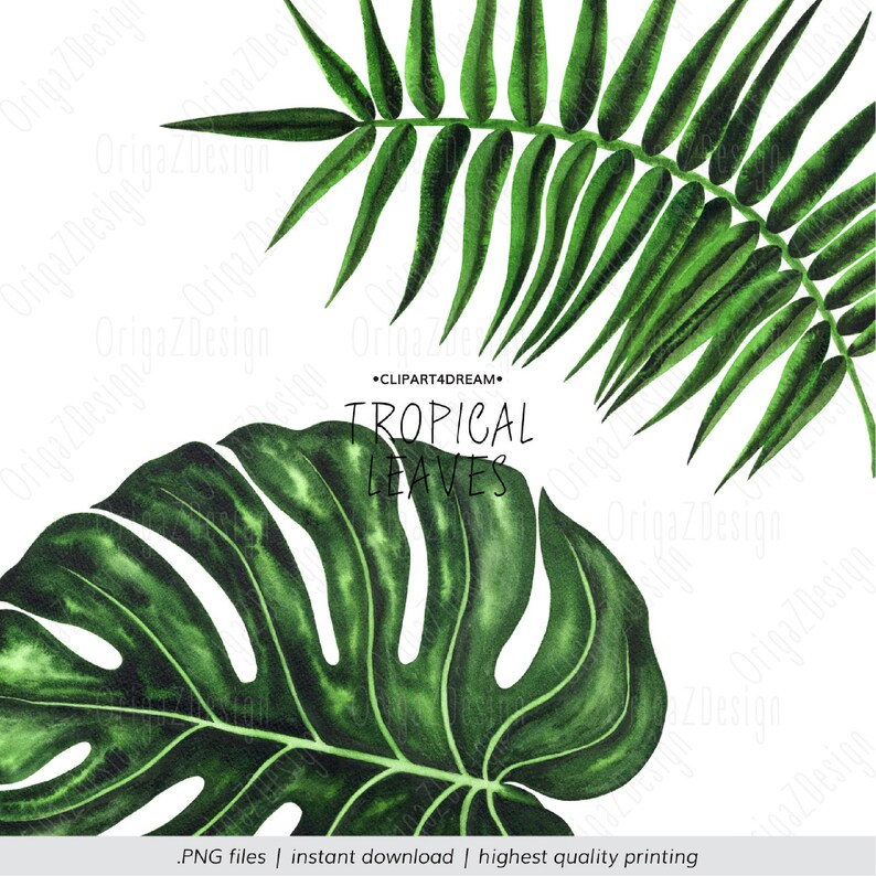 Tropical Leaf Clipart, Tropical Leaves Clipart Monstera Palm Leaf ...
