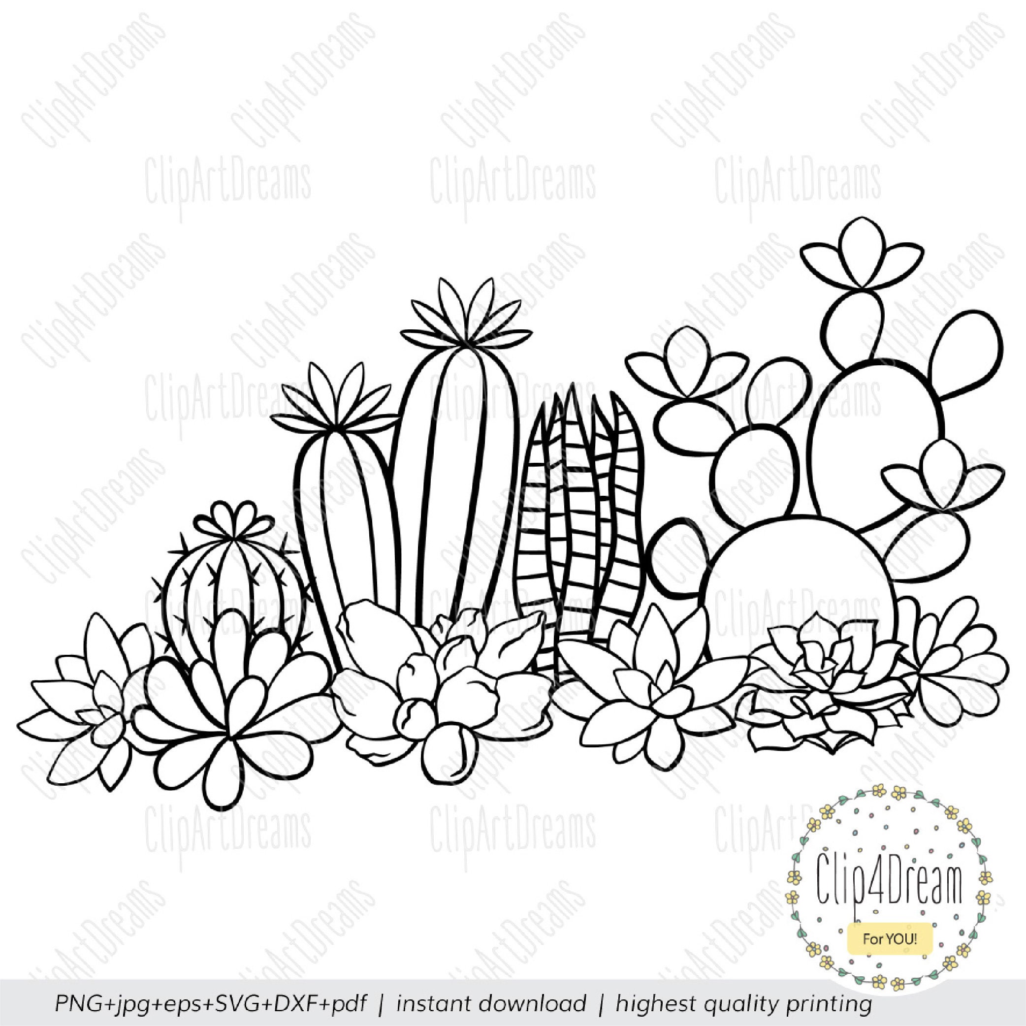 Cactus and Succulents SVG Border Summer Boho Clipart Cut - Etsy