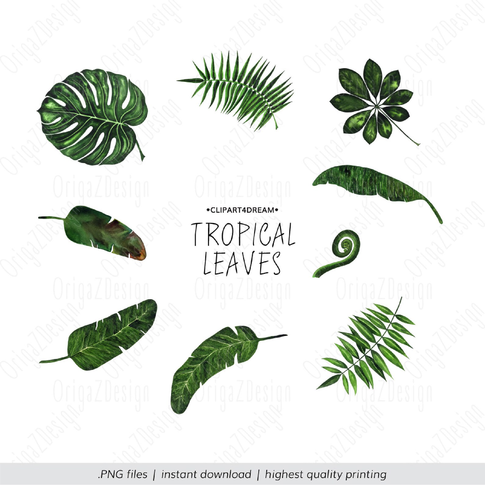 Tropical Leaf Clipart, Tropical Leaves Clipart Monstera Palm Leaf ...