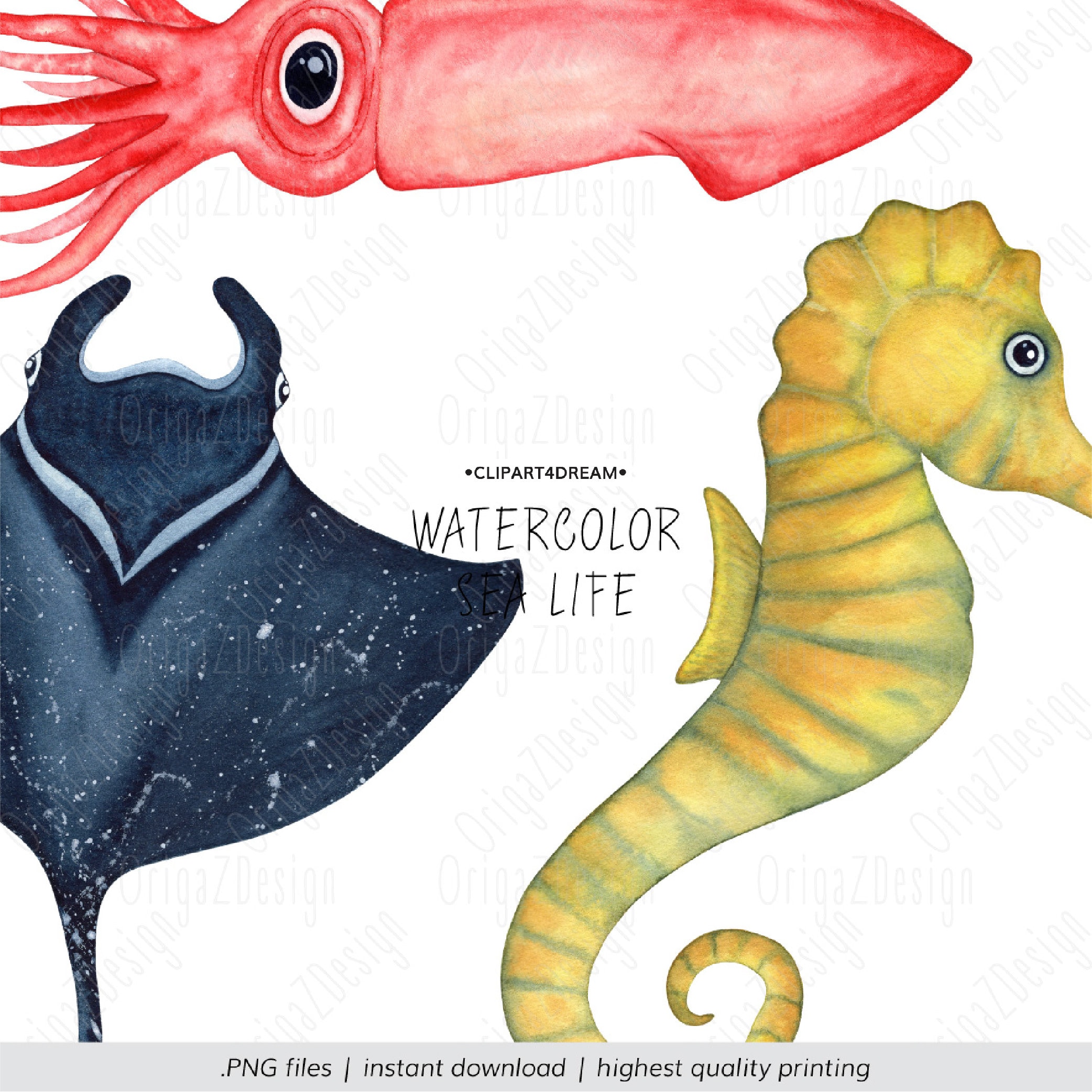 Under the Sea Animals Life Watercolor Nautical Clipart Fish Sea Horse ...