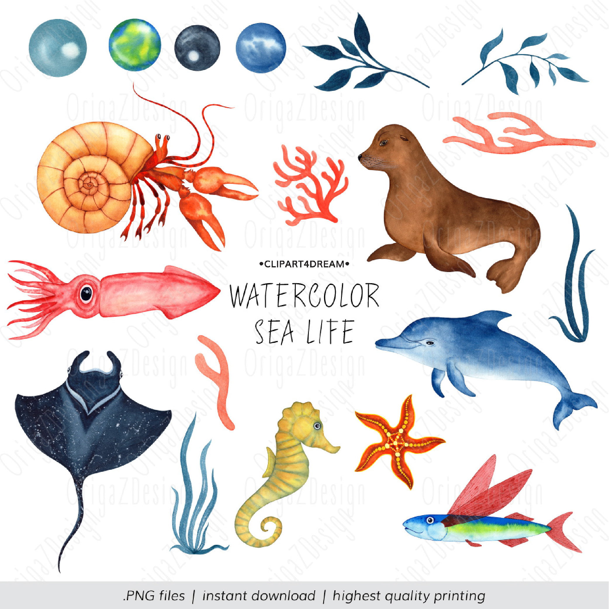 Under the Sea Animals Life Watercolor Nautical Clipart Fish Sea Horse ...