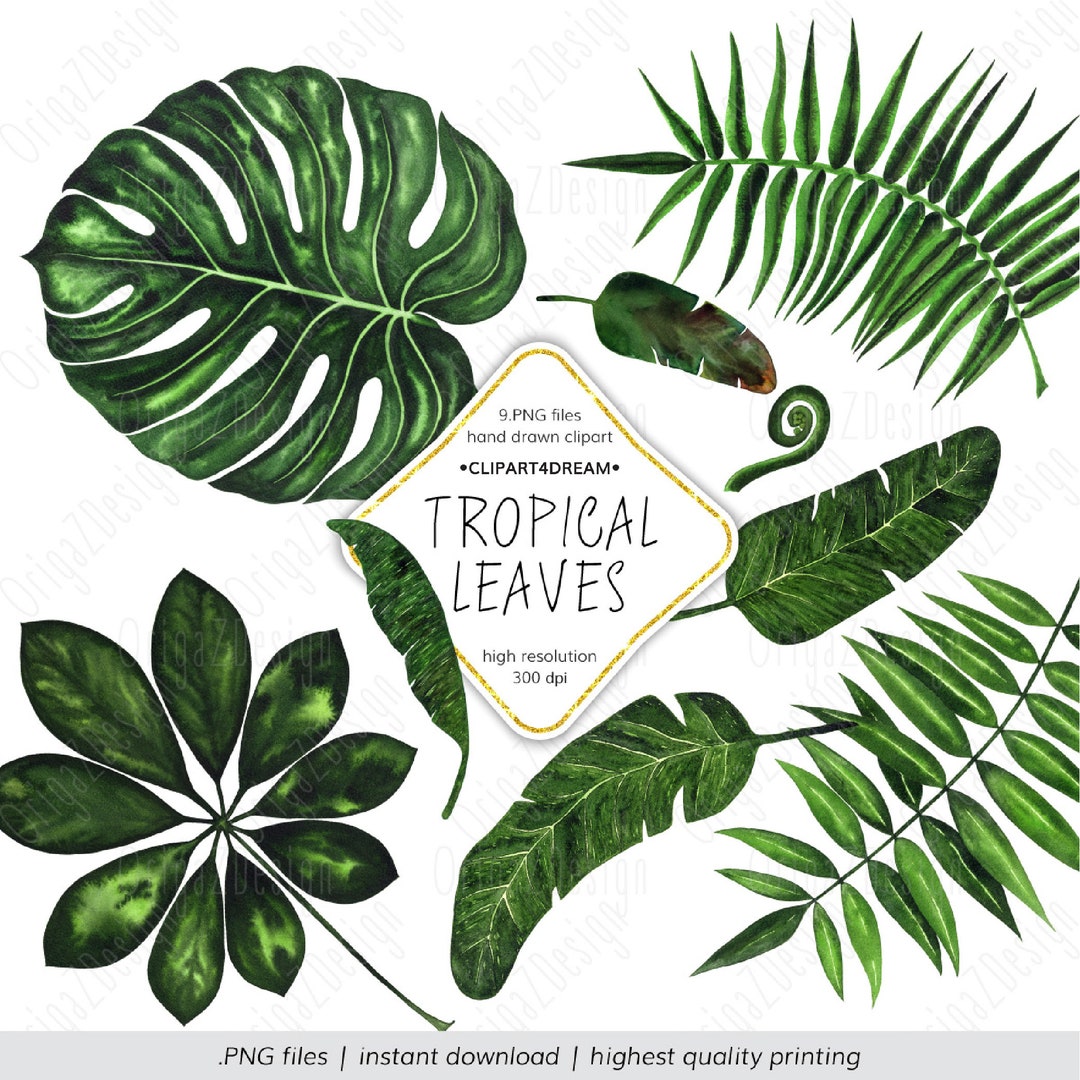 Tropical Leaf Clipart, Tropical Leaves Clipart Monstera Palm Leaf ...