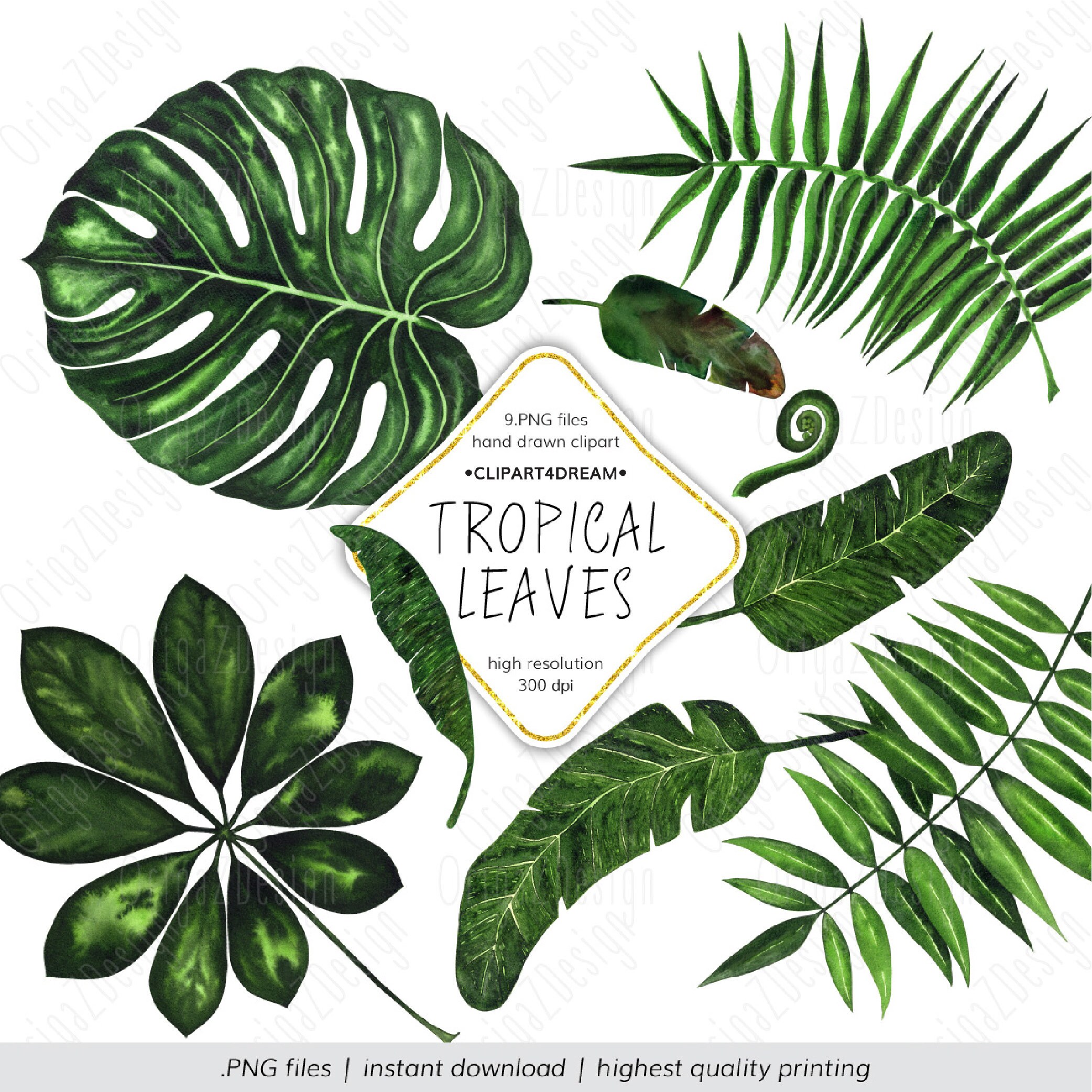 Tropical Leaf Clipart, Tropical Leaves Clipart Monstera Palm Leaf ...