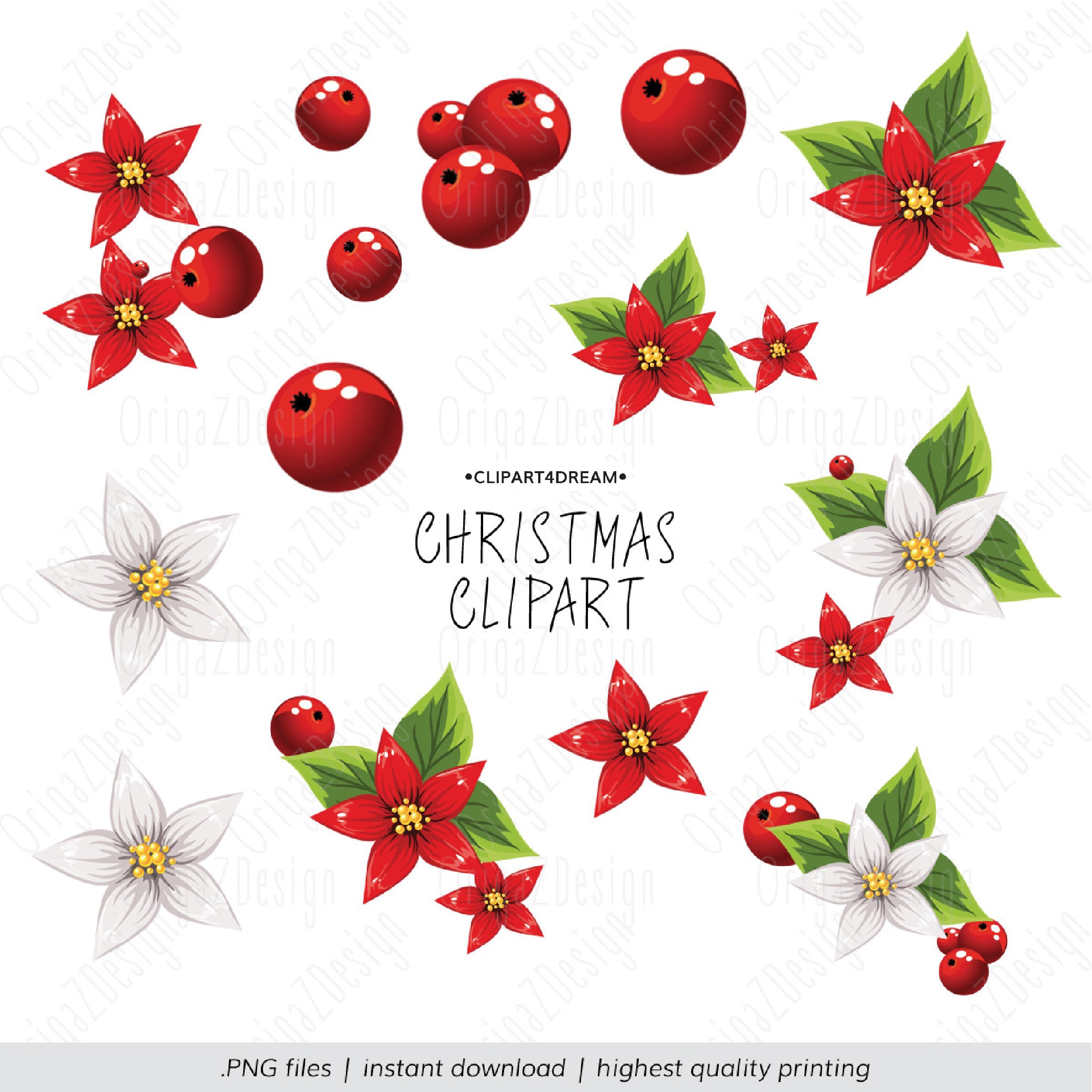 Christmas Clipart, Christmas Flowers Printable Clipart for Scrapbooking ...