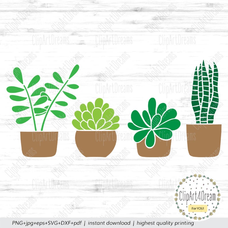 Succulent Svg House Plants With Pots Succulent Clipart Cut - Etsy