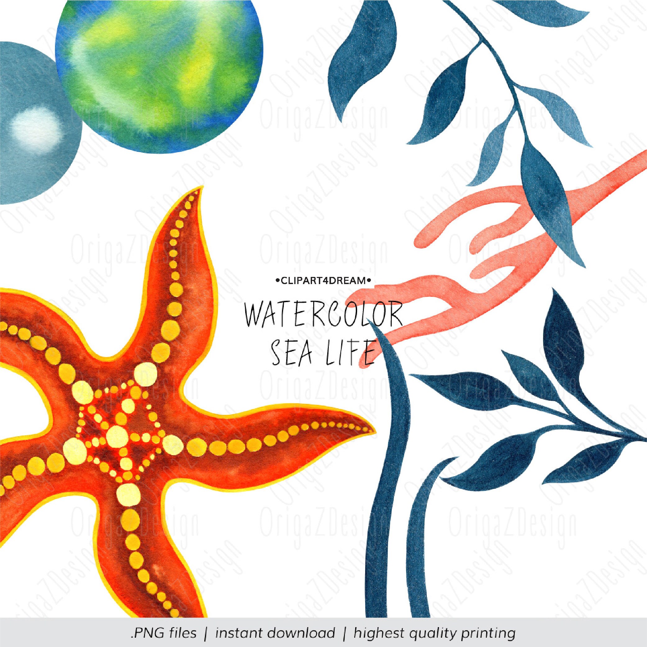 Under the Sea Animals Life Watercolor Nautical Clipart Fish Sea Horse ...