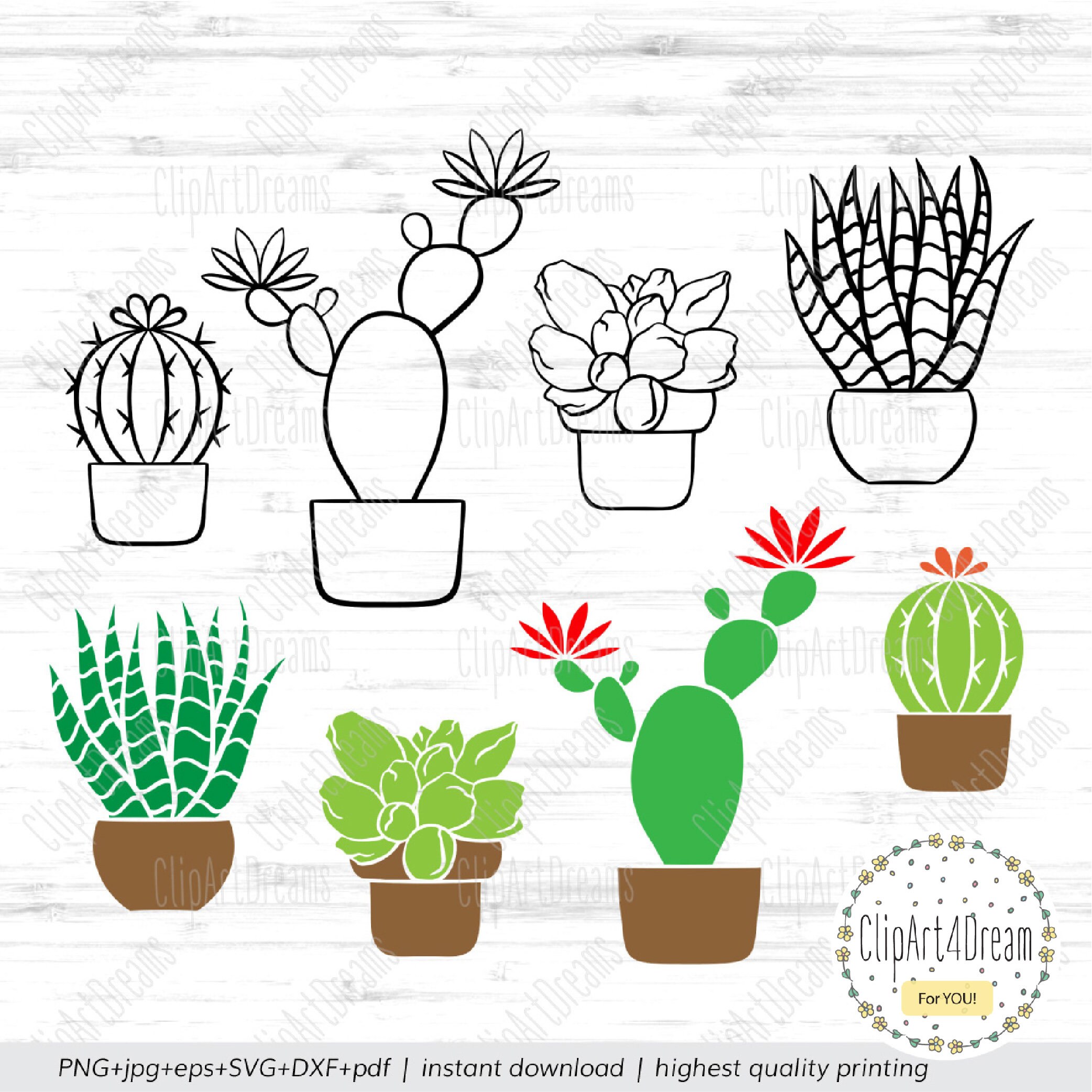 Cactus Svg, Succulent Svg Cacti Pot Boho Clipart Cut Files for Cricut ...